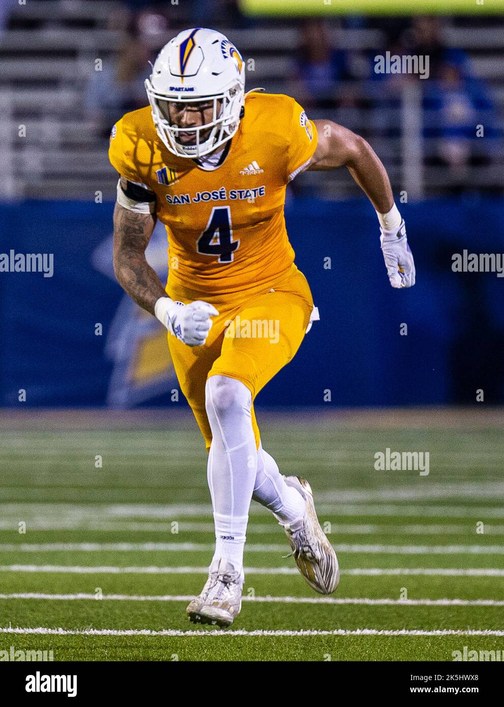 Cooks com hi-res stock photography and images - Alamy