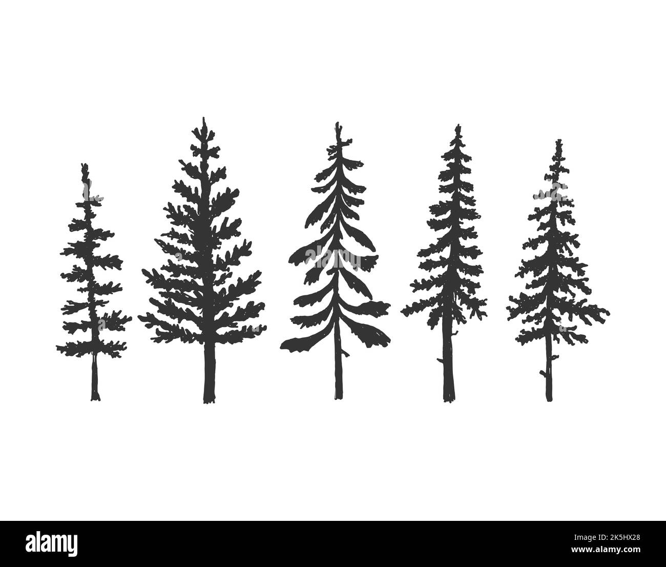 Collection of pine tree silhouettes. Vector, isolated Stock Vector ...