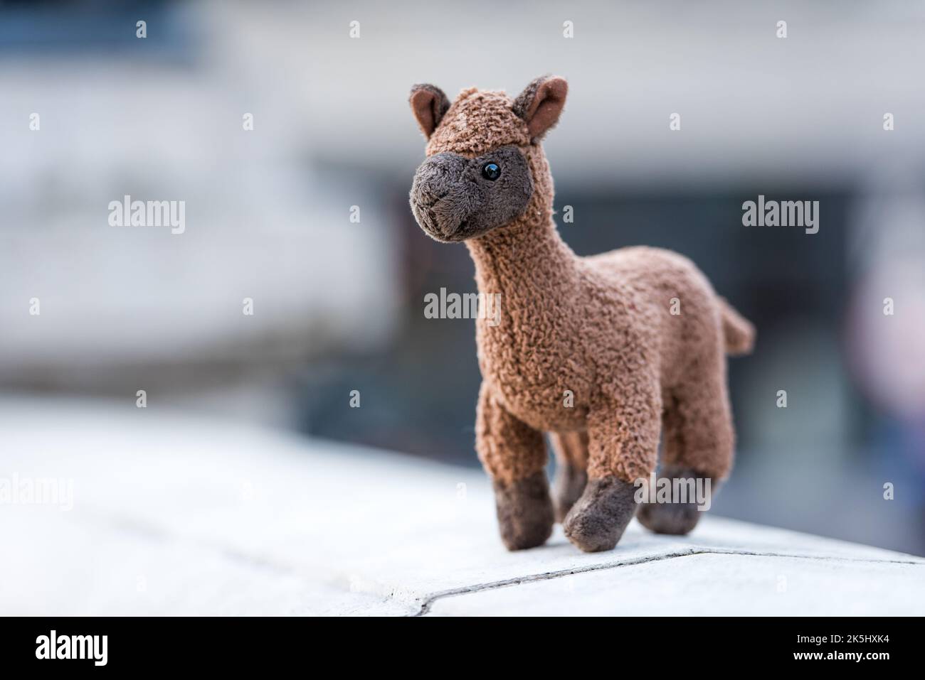 A closeup of a cute brown alpaca toy on a concrete balustrade Stock ...