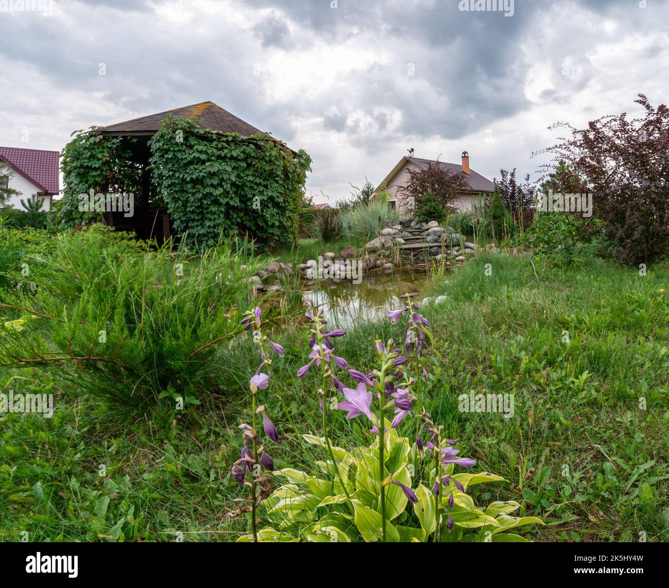 Summer in the country. Plants and flowers in the garden of a country ...