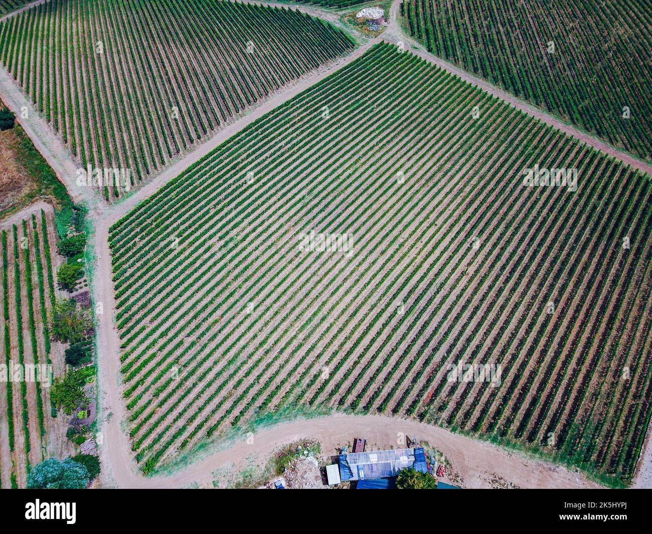 A bird's eye view of the vineyard in Greve, Italy Stock Photo - Alamy