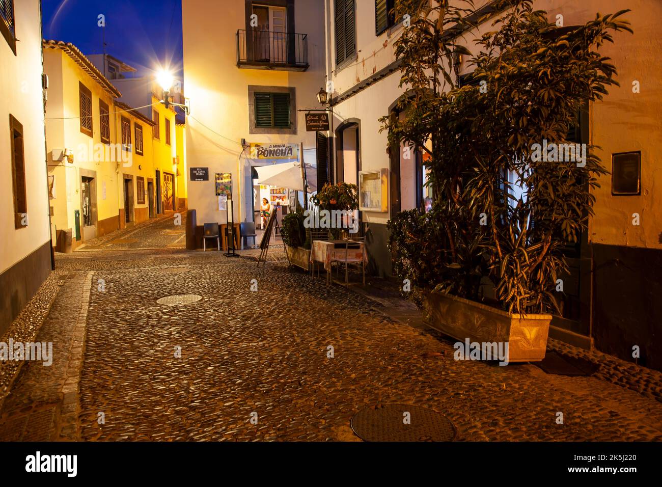 Alley in the old town by night, Funchal, Madeira, Portugal Stock Photo ...