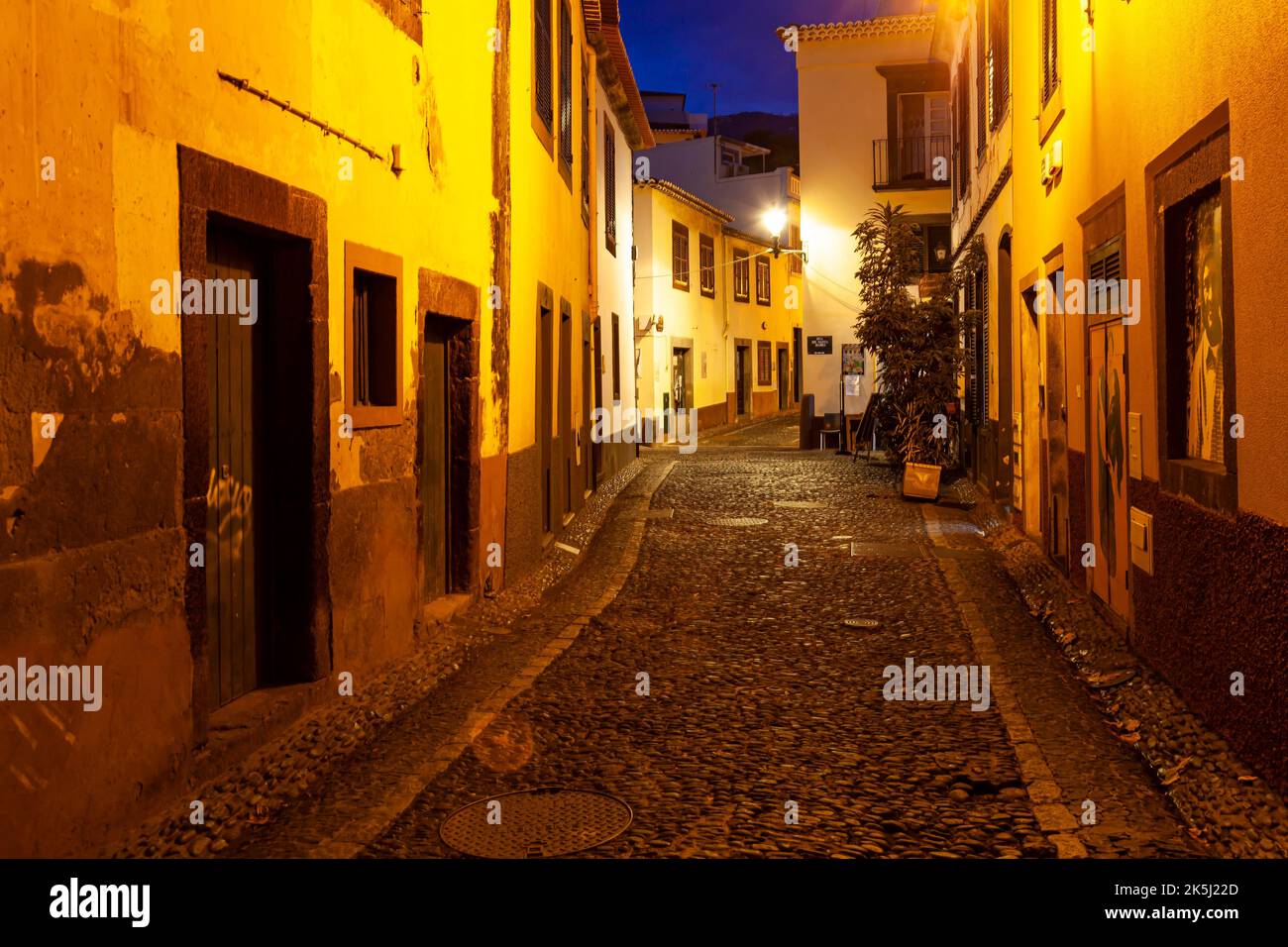 Alley in the old town by night, Funchal, Madeira, Portugal Stock Photo ...