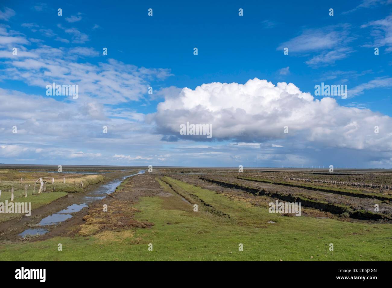 Drainage canal landscape hi-res stock photography and images - Alamy