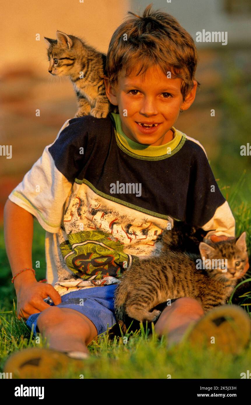 Boy with young domestic cats Stock Photo - Alamy
