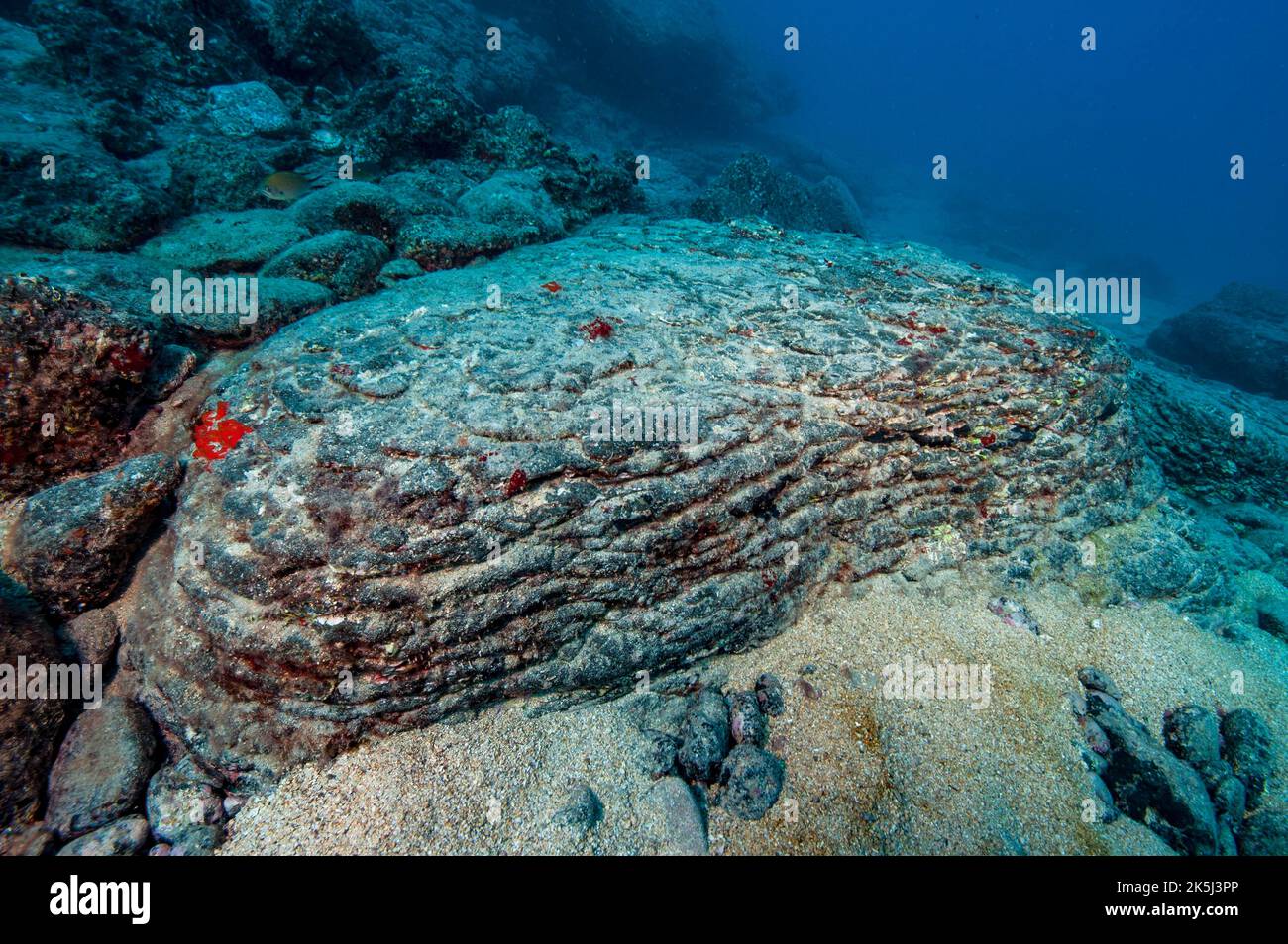 Lava rock cooled under water after volcanic eruption on the seabed ...