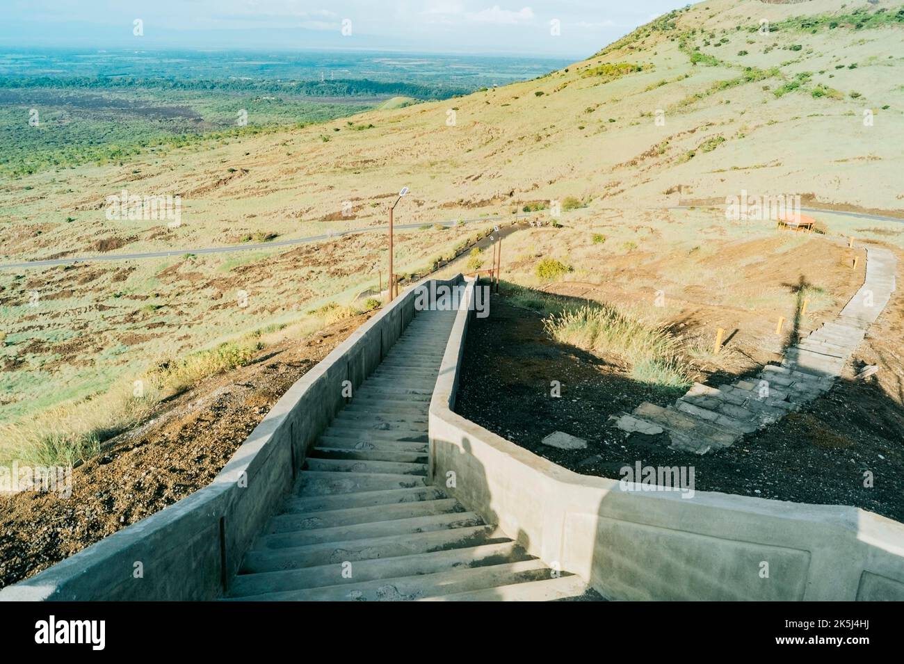 High angle of long concrete stairs outside with nature background. Long ...