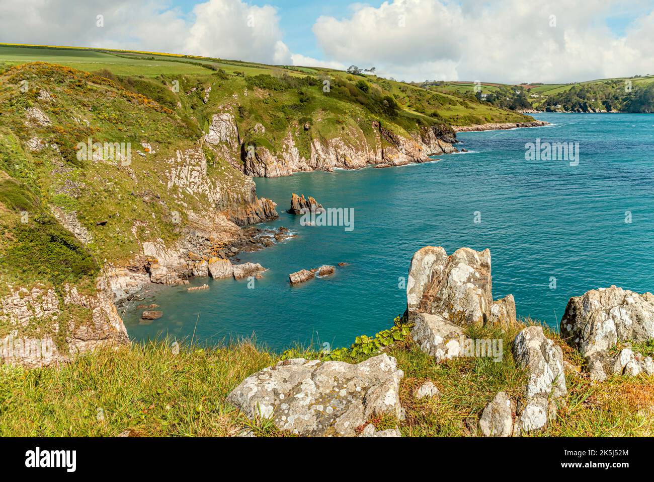 Scenic coastline at the mouth of the Dart River, Devon, England, UK Stock Photo - Alamy