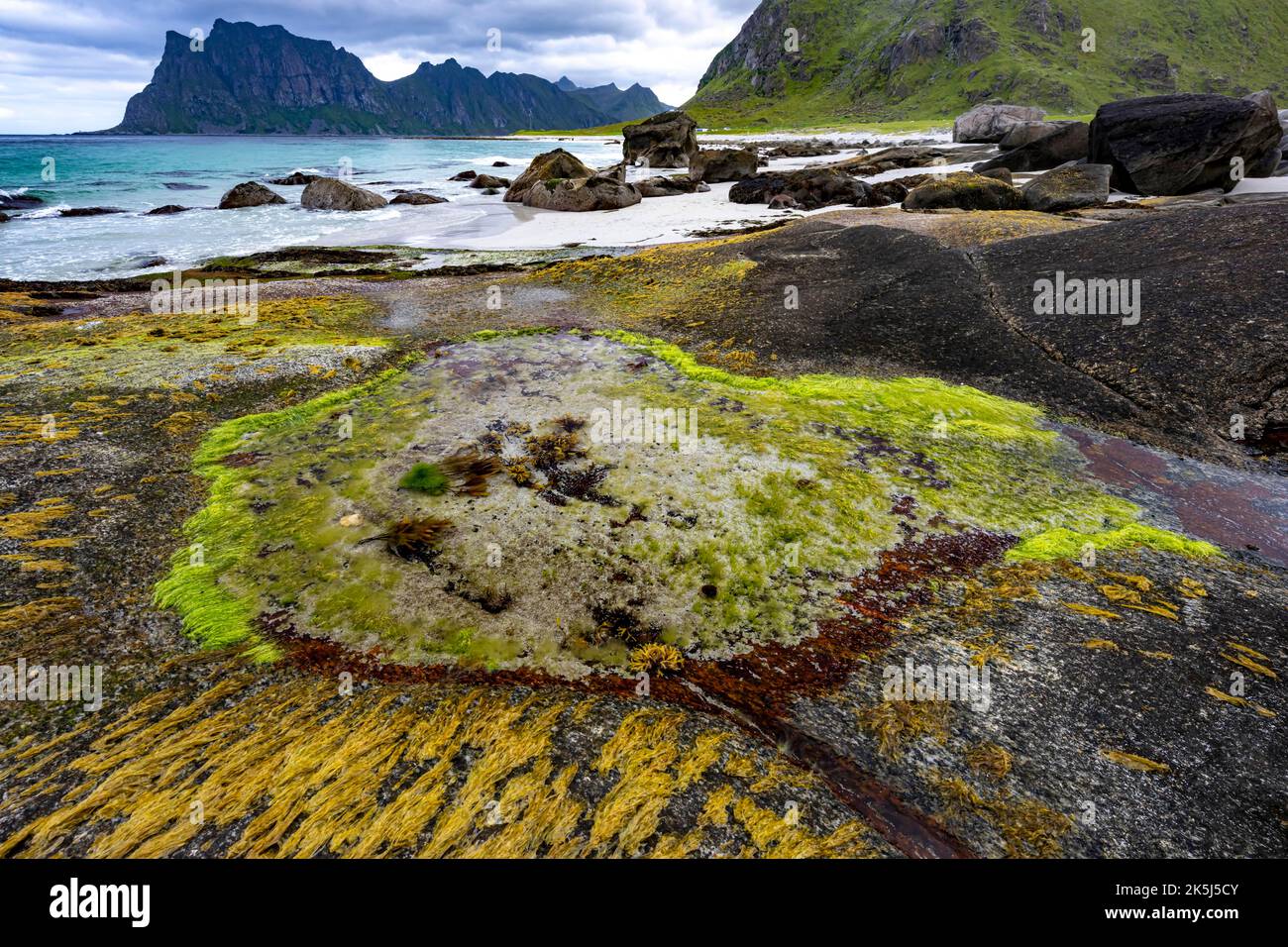 Tidal pool at Uttakleiv Beach, Lofoten Islands, Norway Stock Photo - Alamy
