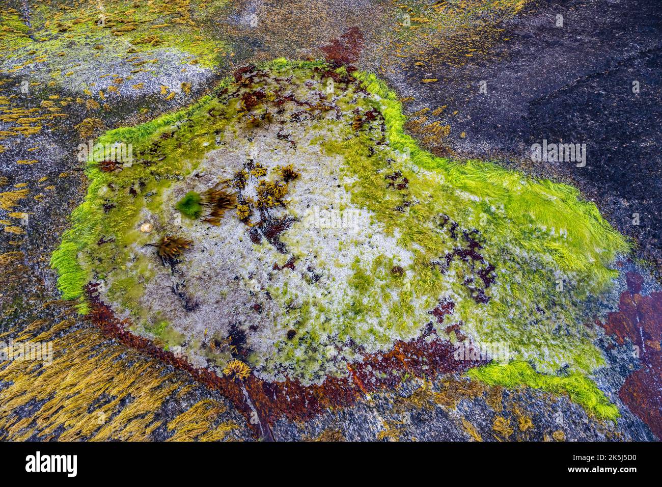 Tidal pool at Uttakleiv Beach, Lofoten Islands, Norway Stock Photo - Alamy