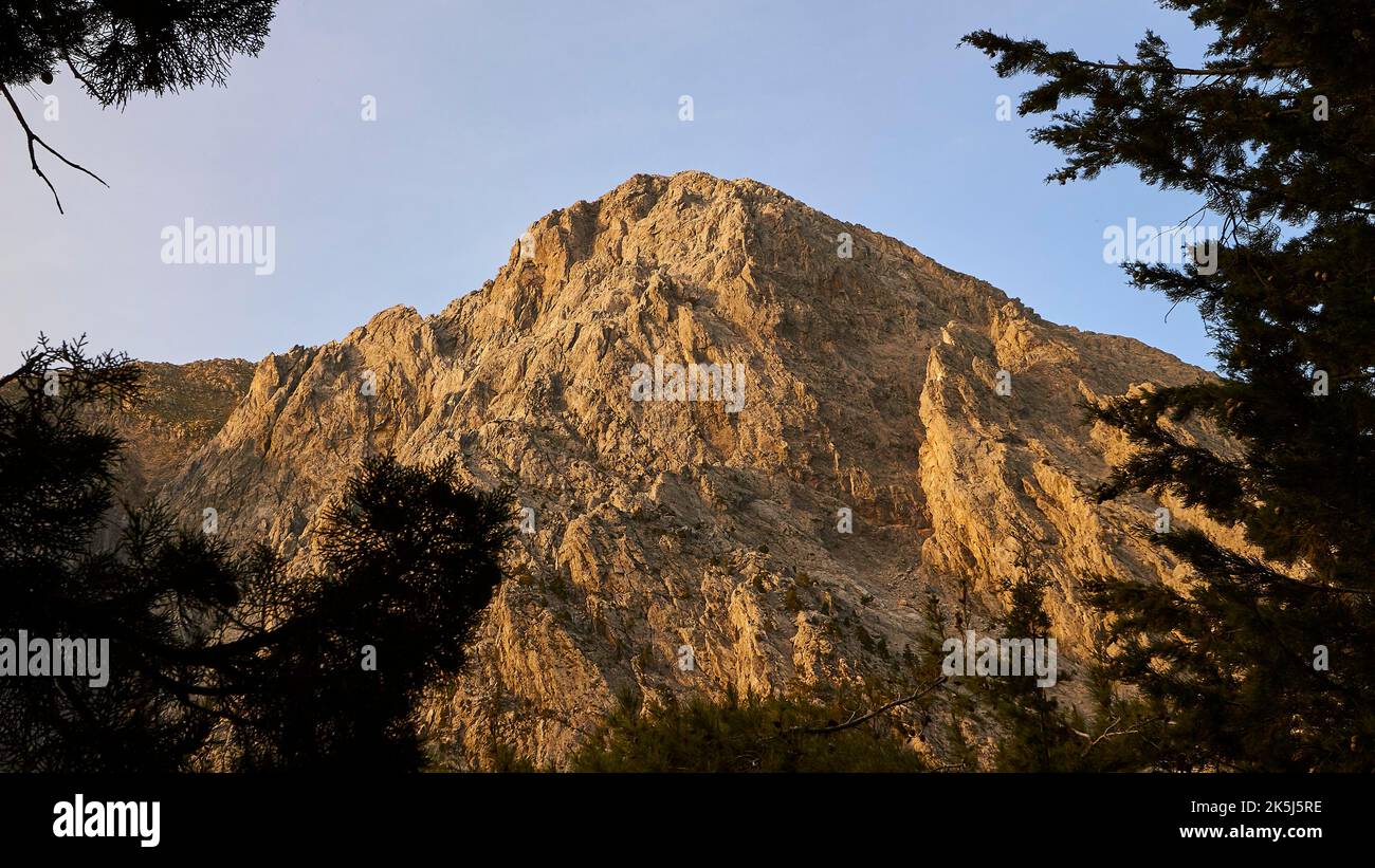 Morning light, Gingilos, trees, cloudless blue sky, Samaria Gorge ...