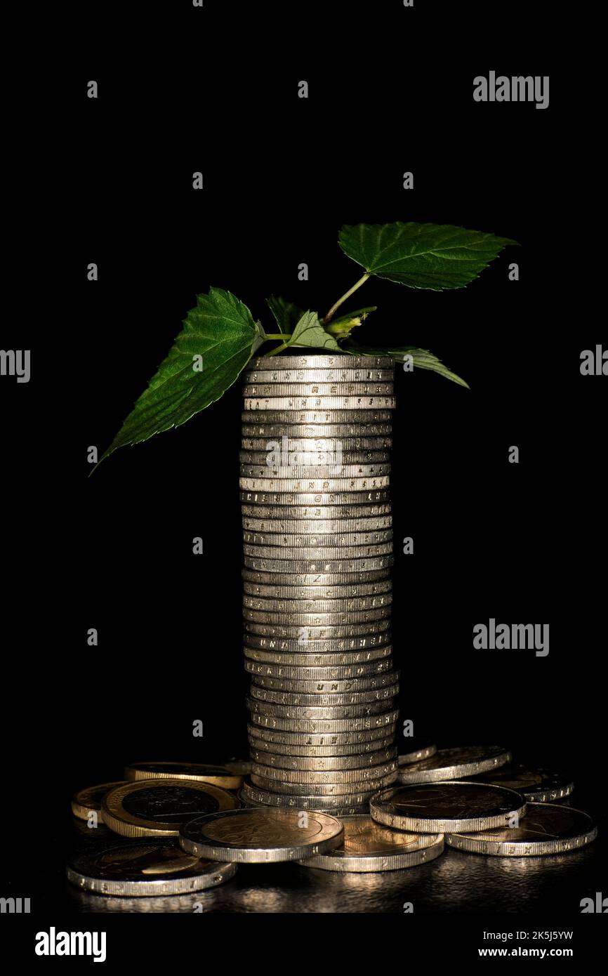 Symbol photo, a stack of two euro coins with fresh green leaves, studio ...