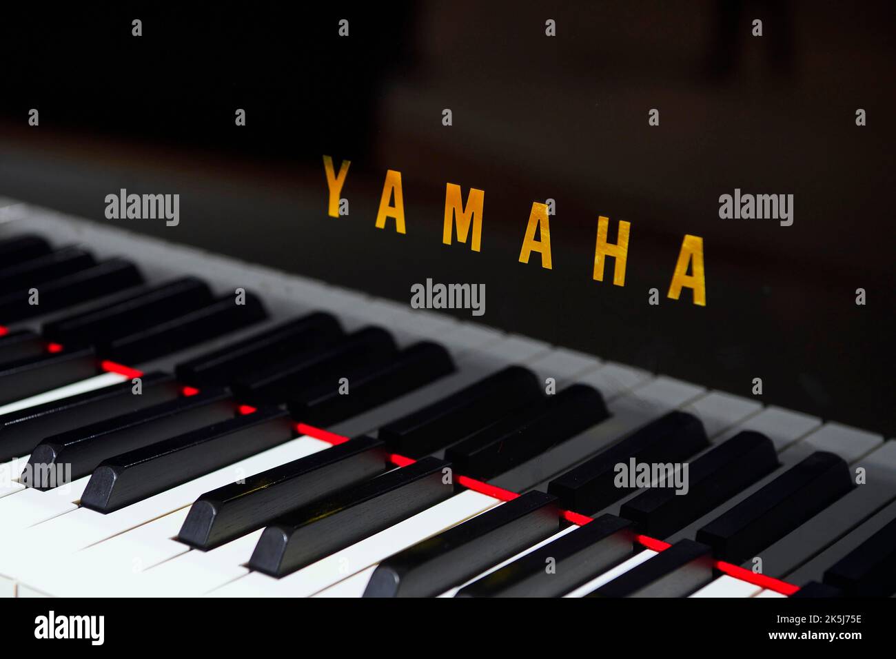 Yamaha Musical Instruments Logo