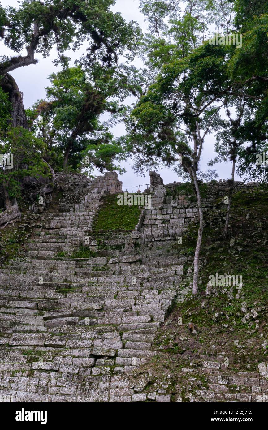 The Copan ruins archeological site, Honduras Stock Photo - Alamy