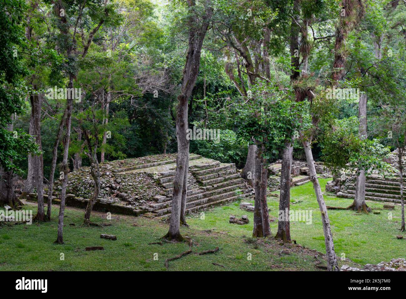 The Copan ruins archeological site, Honduras Stock Photo - Alamy