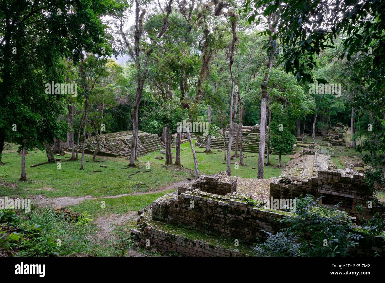 The Copan ruins archeological site, Honduras Stock Photo - Alamy