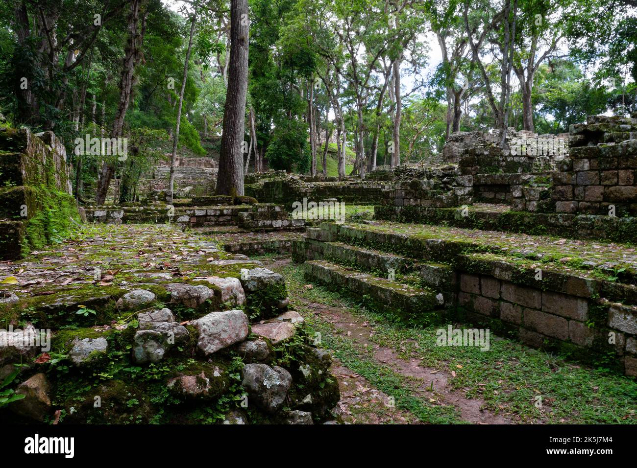 The Copan ruins archeological site, Honduras Stock Photo - Alamy