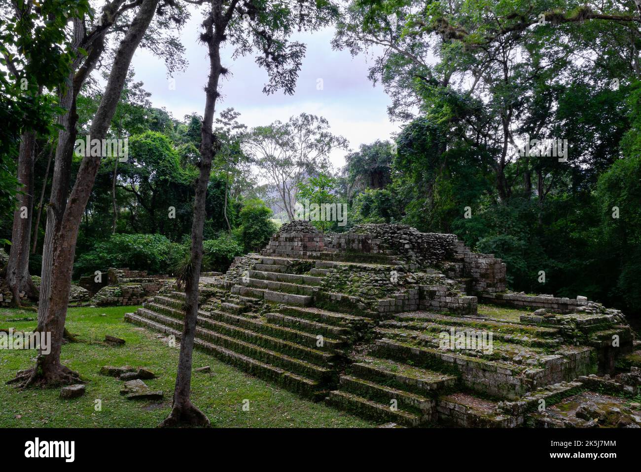 The Copan ruins archeological site, Honduras Stock Photo - Alamy