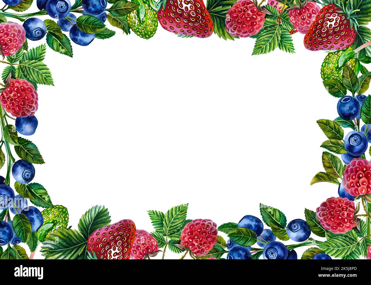 Berry frame with strawberries, raspberries and blueberries. Watercolor ...