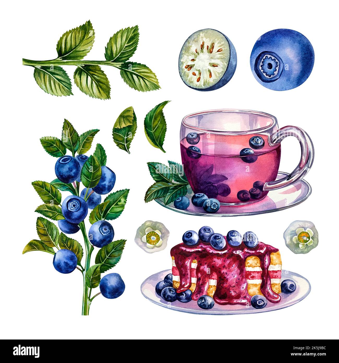Blueberry set. Tea, dessert and blueberries. Flowers and leaves of ...