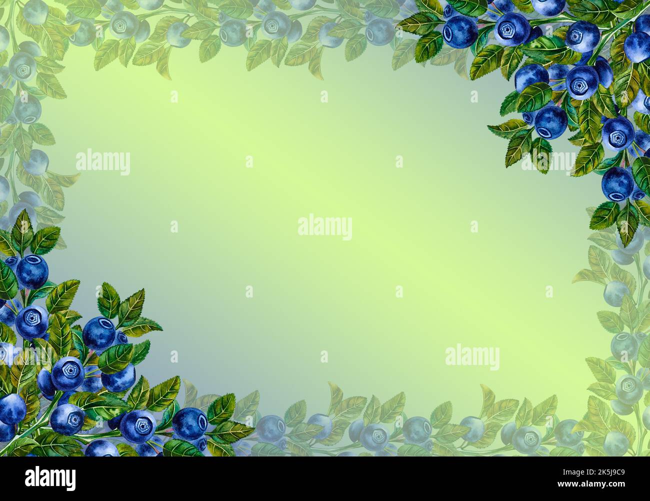 Blueberry. Frame with blue berries, fresh natural health product ...