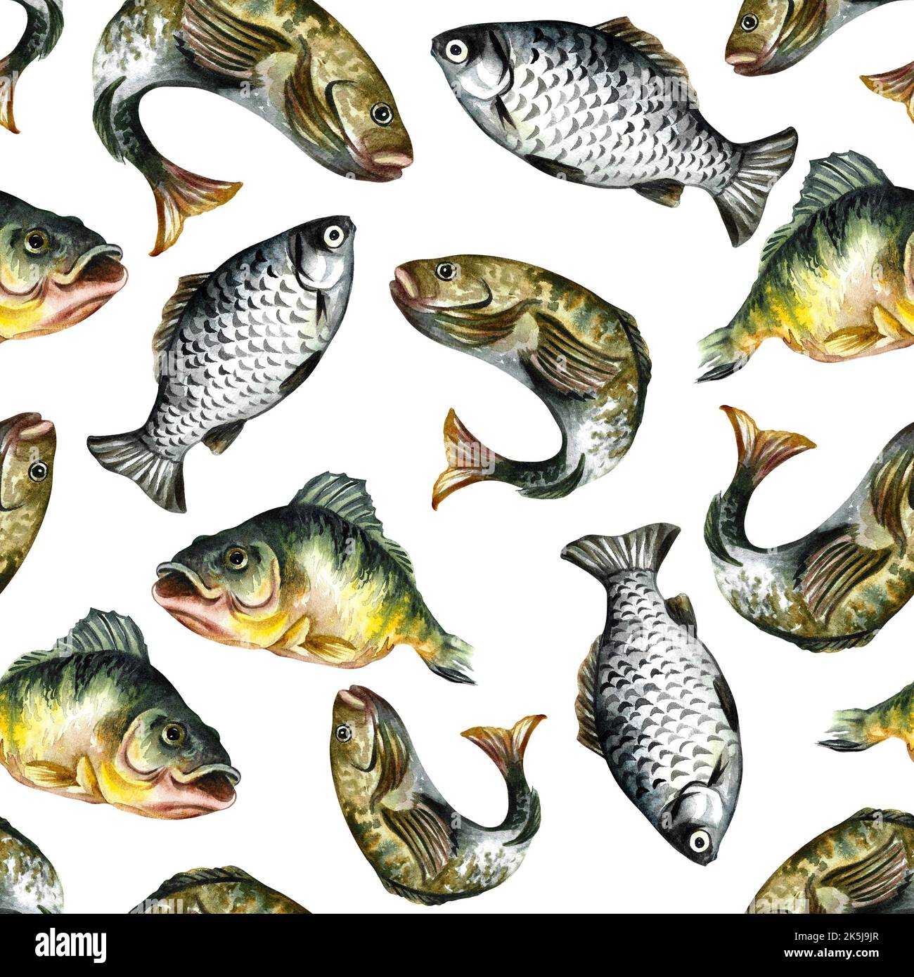 pattern, seamless texture with fish for the angler. On a white ...