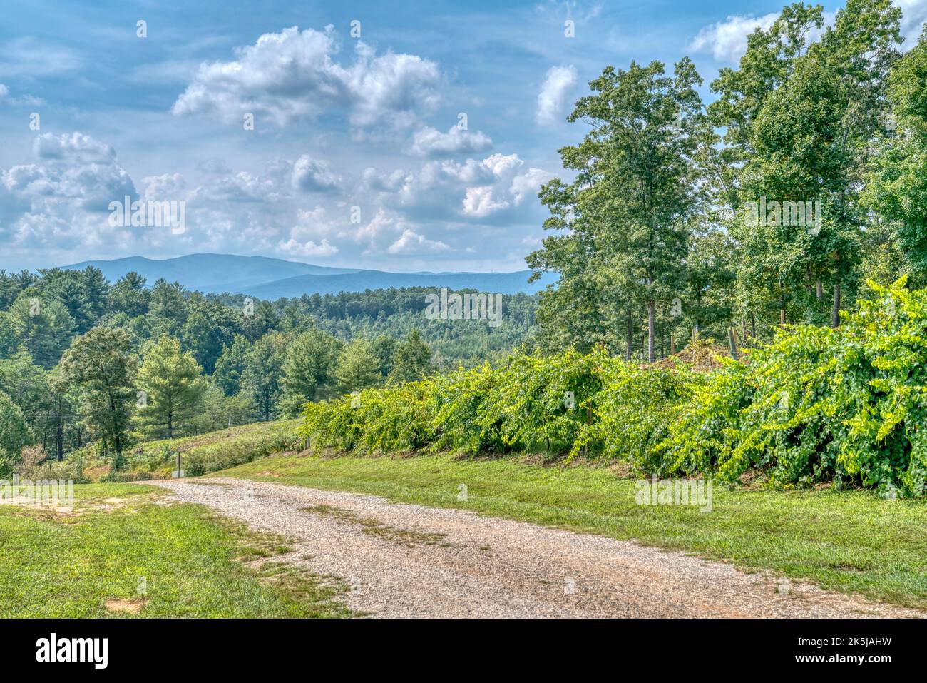 The mountain country road leading into Perry’s Berry’s Blueberry Farm ...