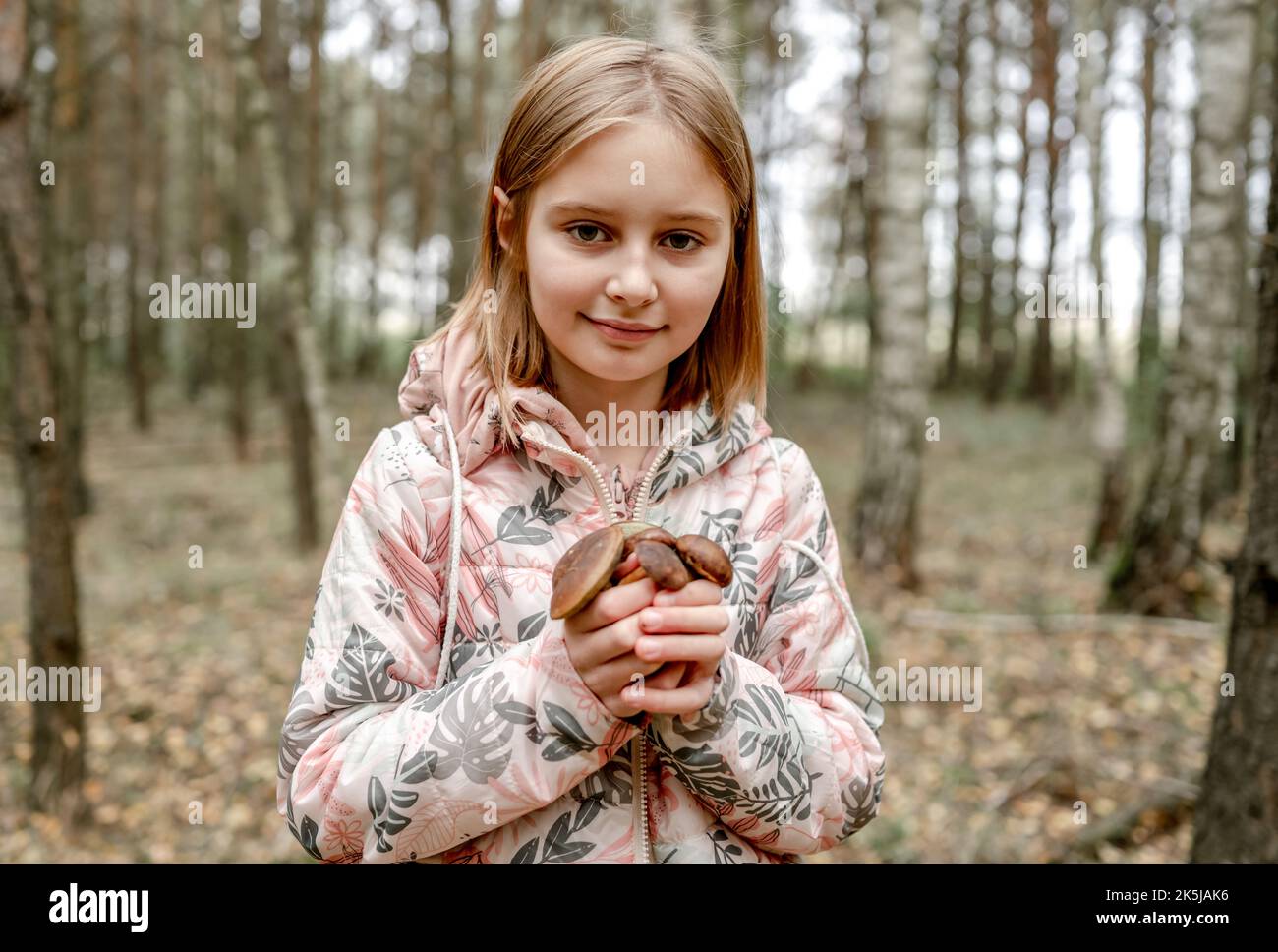 cute girl holding Boletus Edulis Mushroom in hands Stock Photo - Alamy