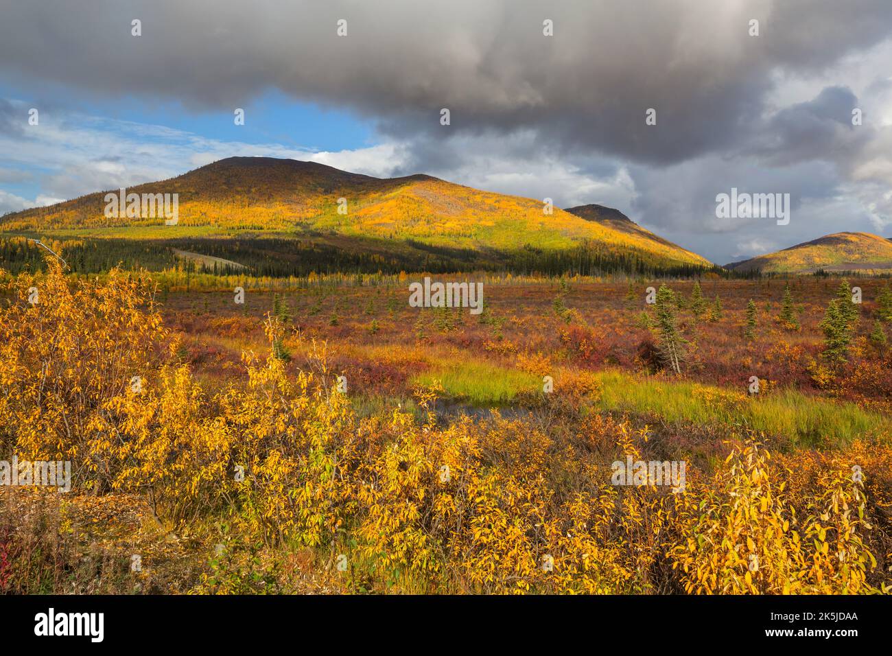 Permafrost in the arctic alaska hi-res stock photography and images - Alamy