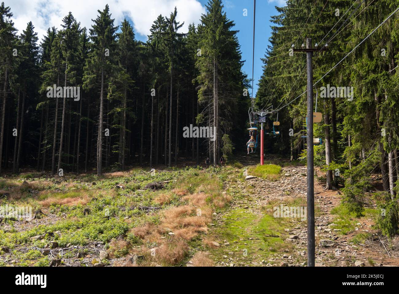 Cable car tower with trees hi-res stock photography and images - Alamy