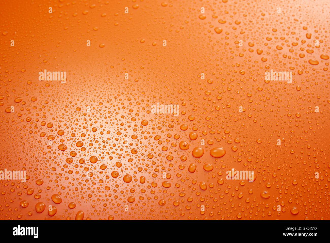 Full frame of small round drops of spilled transparent liquid water ...