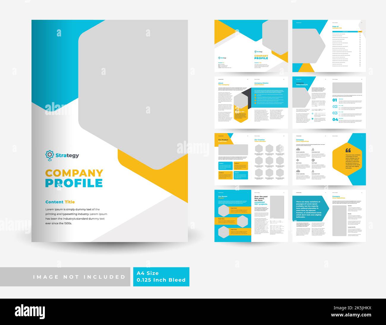 A gray, blue and yellow template layout design for a company or ...
