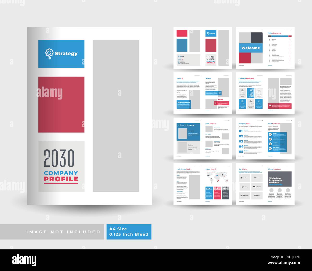 A red and blue template layout design for a company or business profile ...