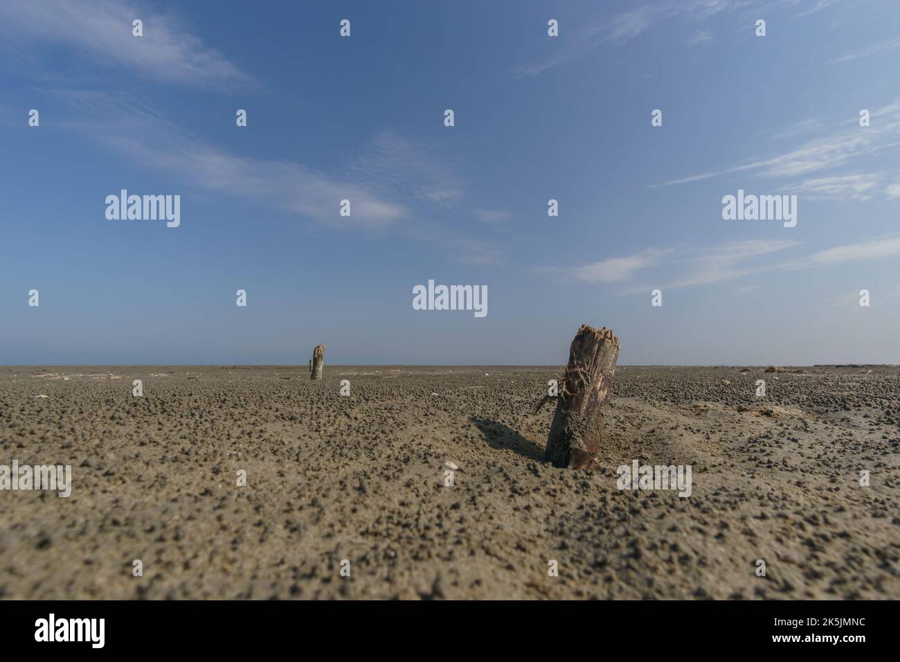 Frog perspective of lone old wooden posts wave-breakers at an empty dry ...