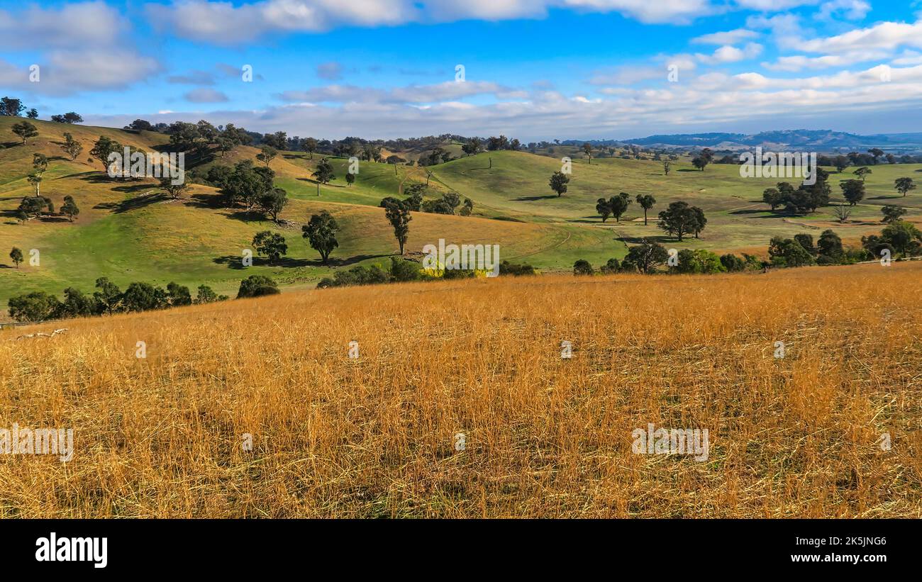 The beautiful colours and rolling hills around Mt Adrah NSW, Australia ...
