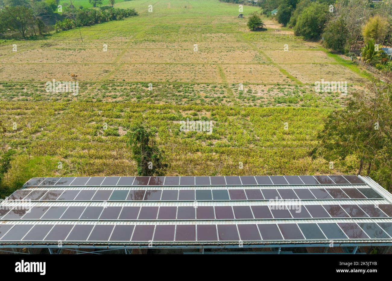 Thin film solar cells or amorphous silicon solar cells on a roof Stock ...