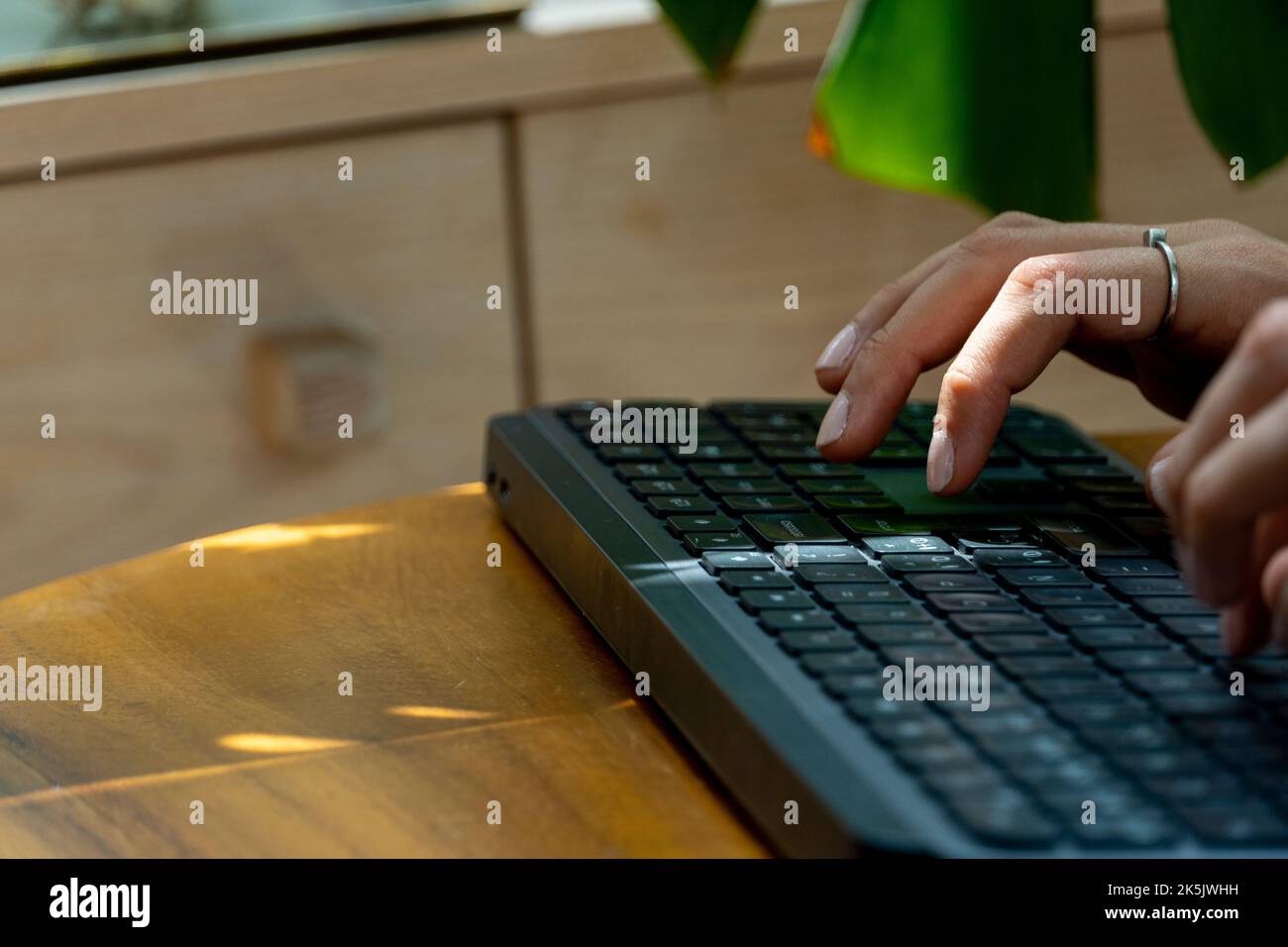 Working at home with laptop woman writing a blog. Female hands on the ...