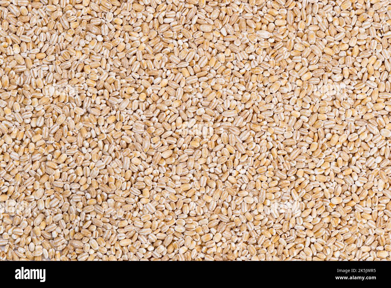 Barley seeds hi-res stock photography and images - Alamy