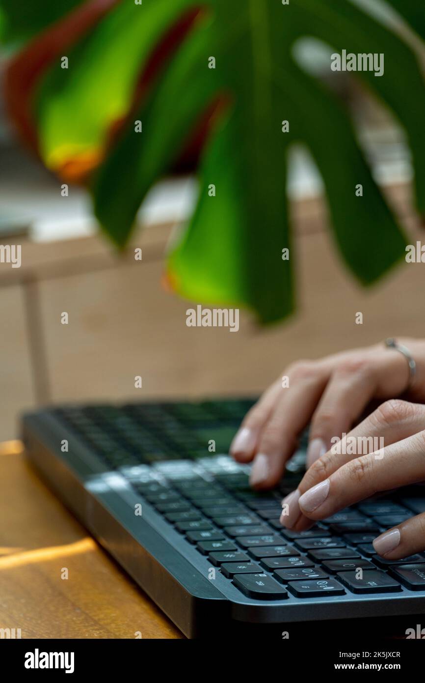 Working at home with laptop woman writing a blog. Female hands on the ...