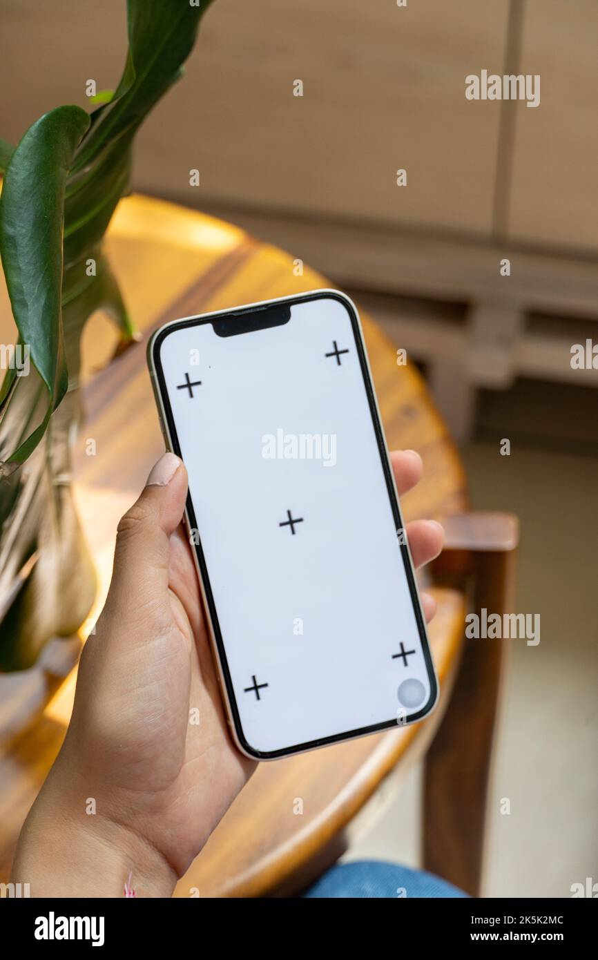 phone with green screen, in a warm home environment, held by a latina ...