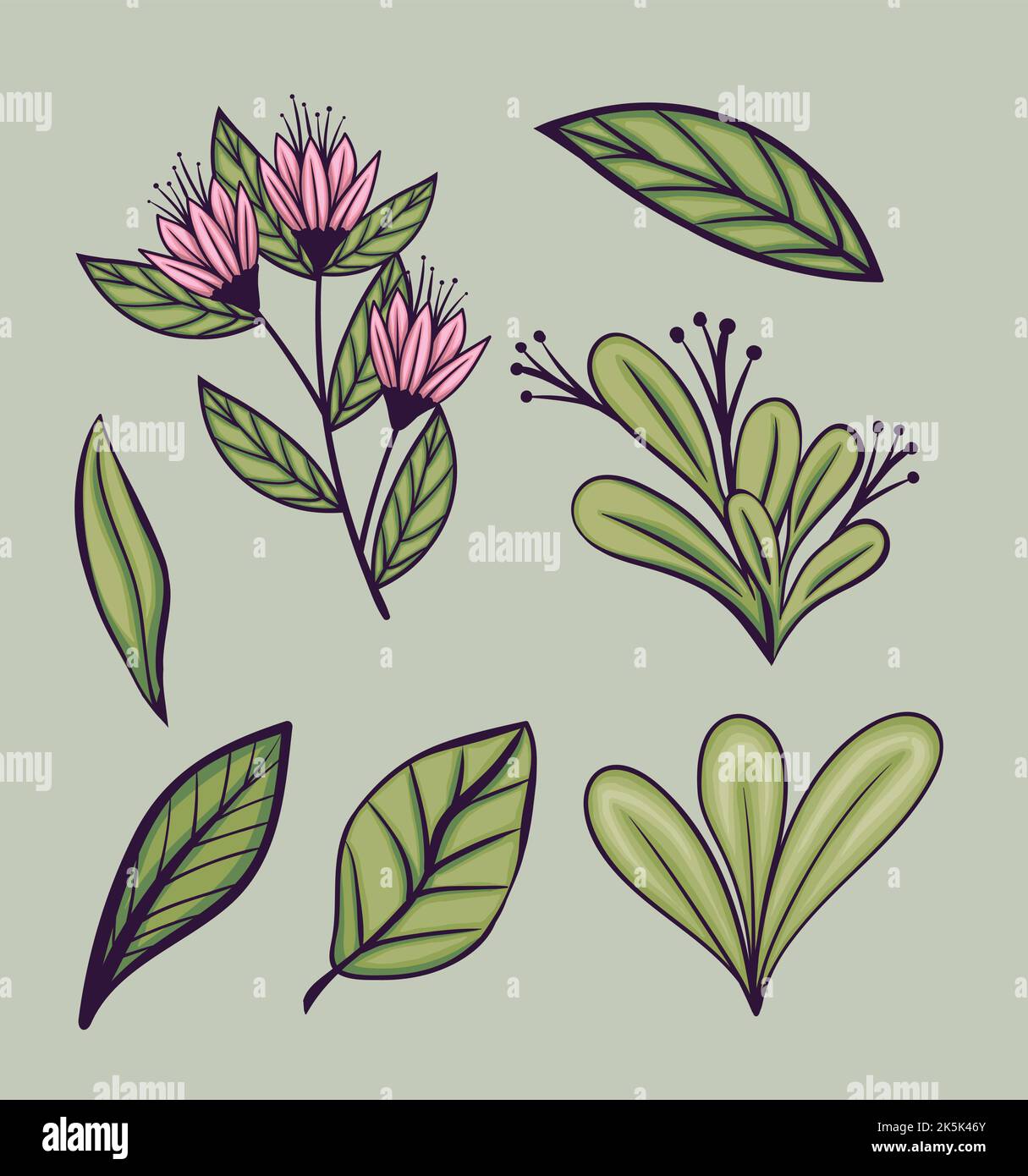 Seven petals Stock Vector Images - Alamy