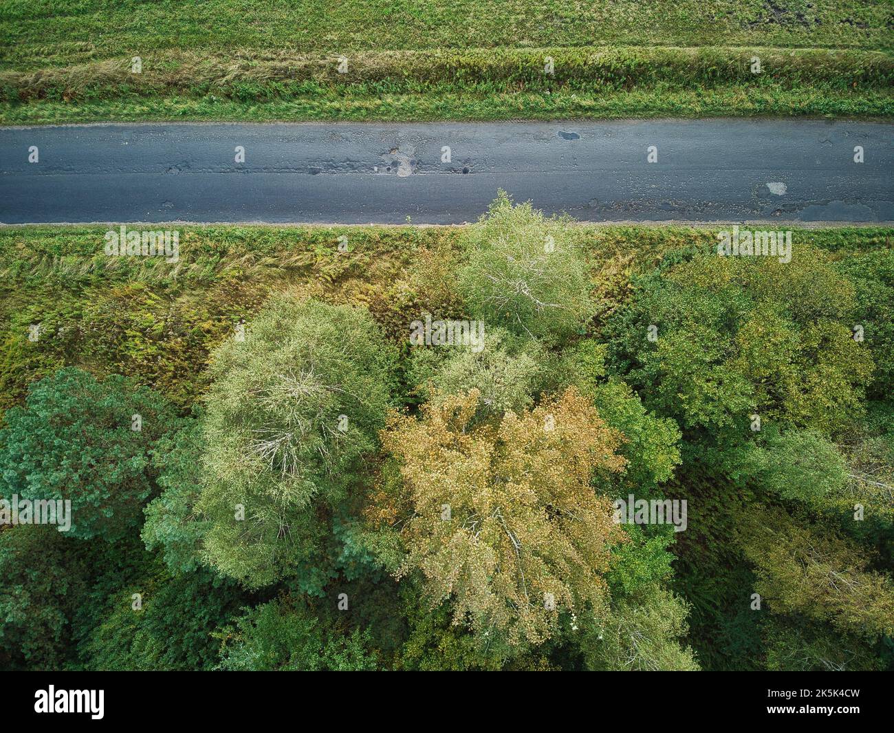 An aerial view of an asphalt road surrounded by green grass in a forest ...
