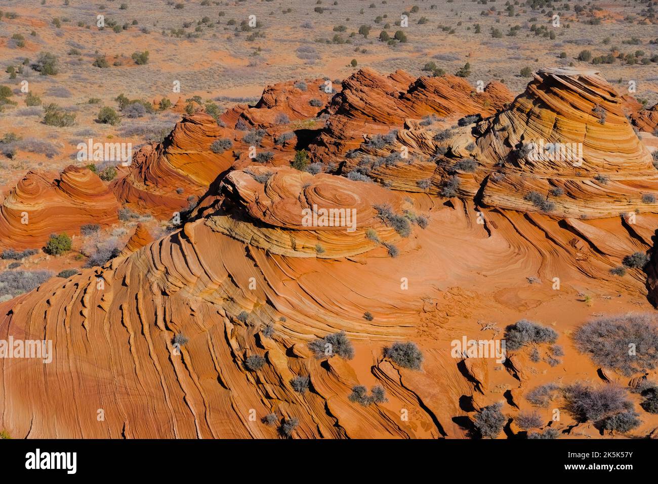 Red sand stone rock formations in Coyote Butts South Stock Photo - Alamy