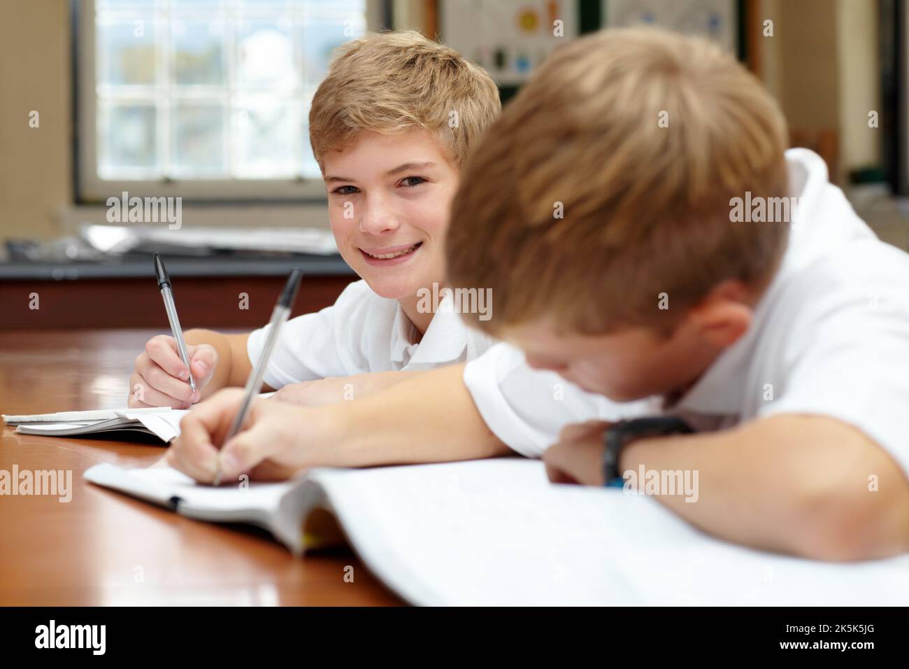 Doing his schoolwork with a smile. Two young schoolboys doing their ...