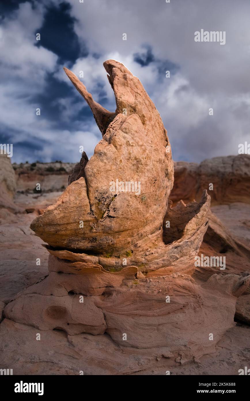 Red sand stone rock formations in Coyote Butts South Stock Photo - Alamy