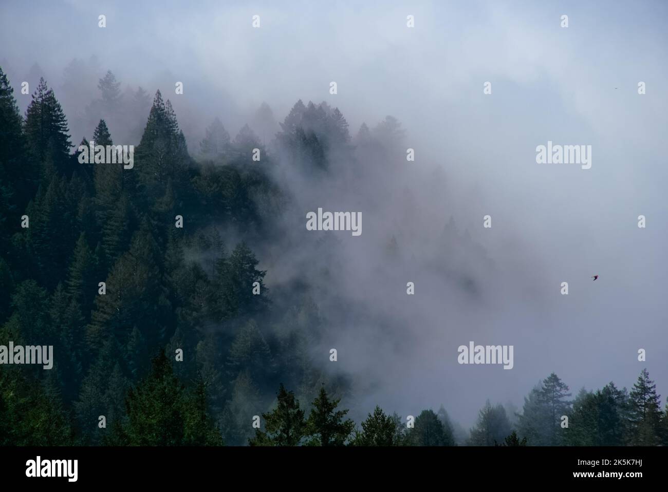 Beautiful fog in mountain hi-res stock photography and images - Alamy