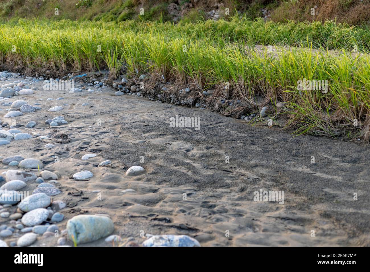 Causes of global warming hi-res stock photography and images - Alamy