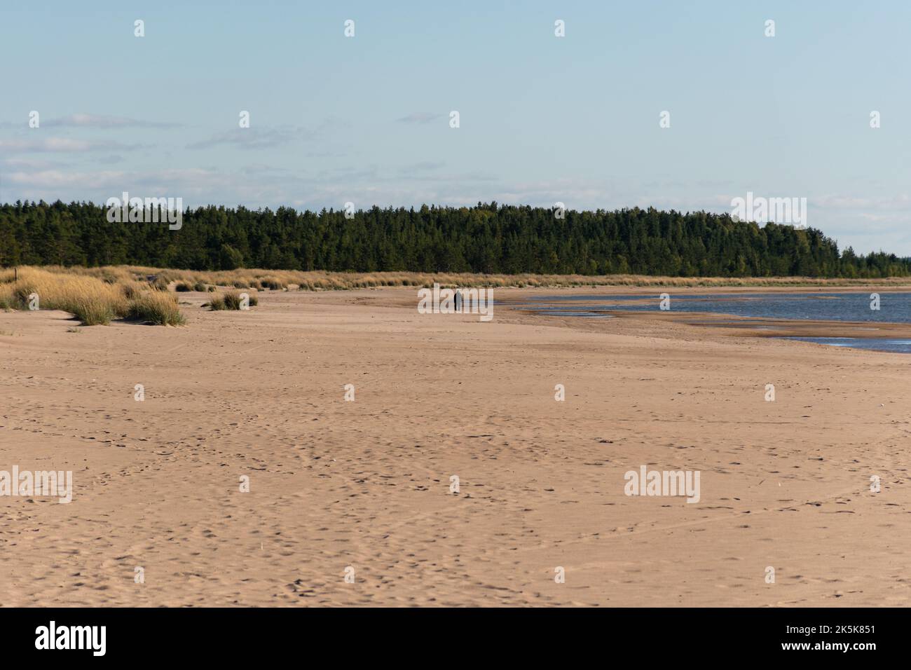 Person walking on a sandy beach hi-res stock photography and images - Alamy