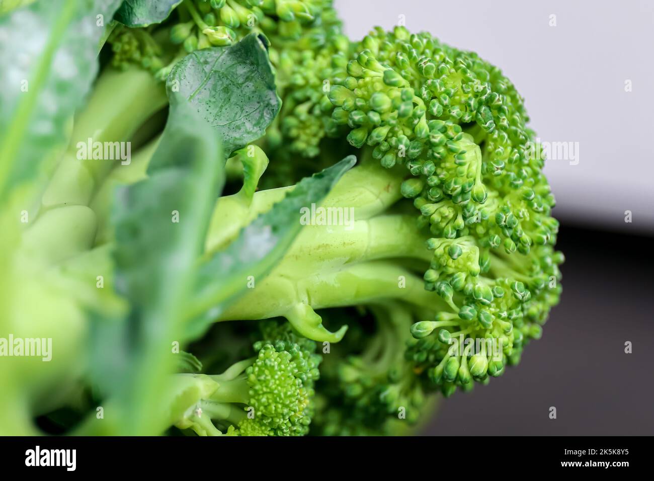 Natural background, broccoli close-up, macro shot Stock Photo - Alamy