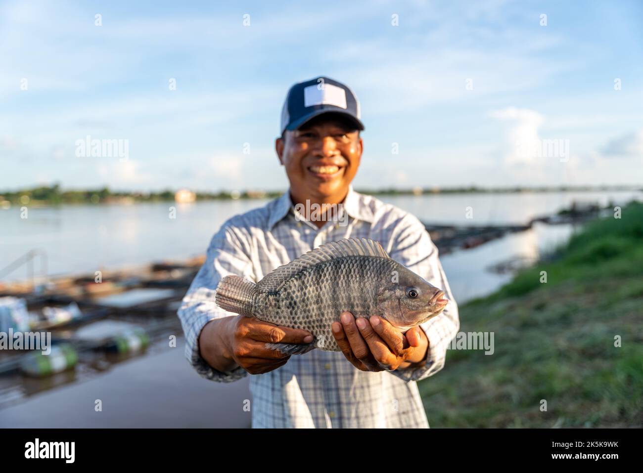 Asian Fisherman holding big tilapia fish, freshwater fish that was ...